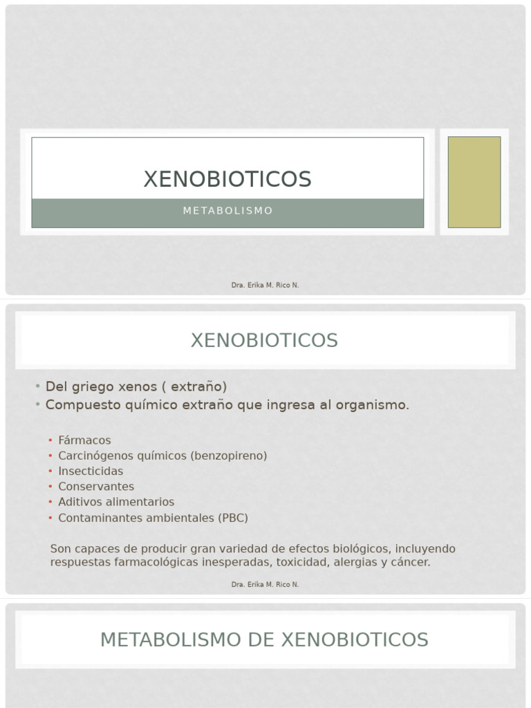 Xeno Biotic Os | PDF | Citocromo P450 | Farmacología