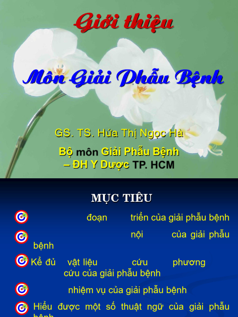 Bai 1 - Nhap Mon Moodle | PDF