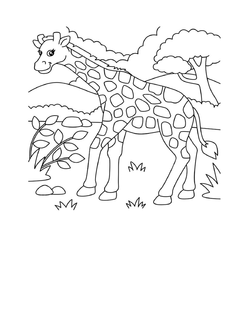 ZIRAFAH | PDF