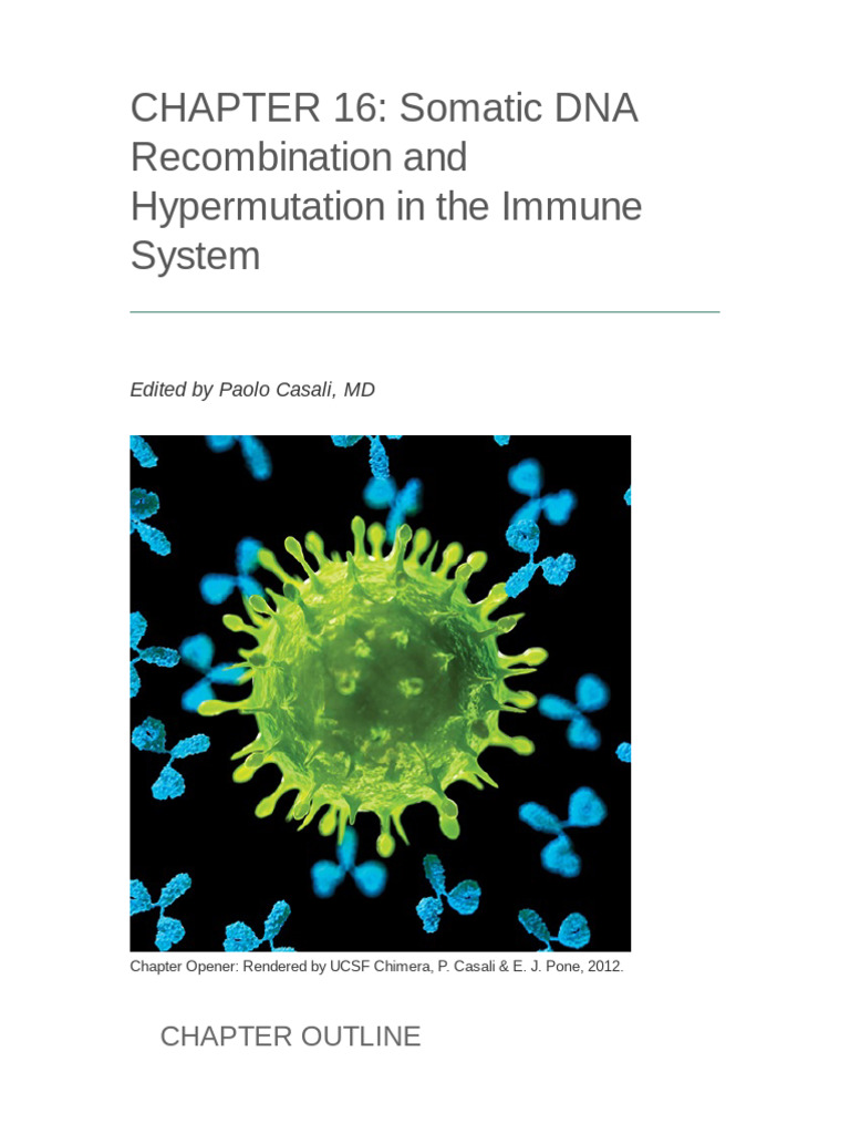 Somatic Cell Recomb. | PDF | Antibody | Toll Like Receptor