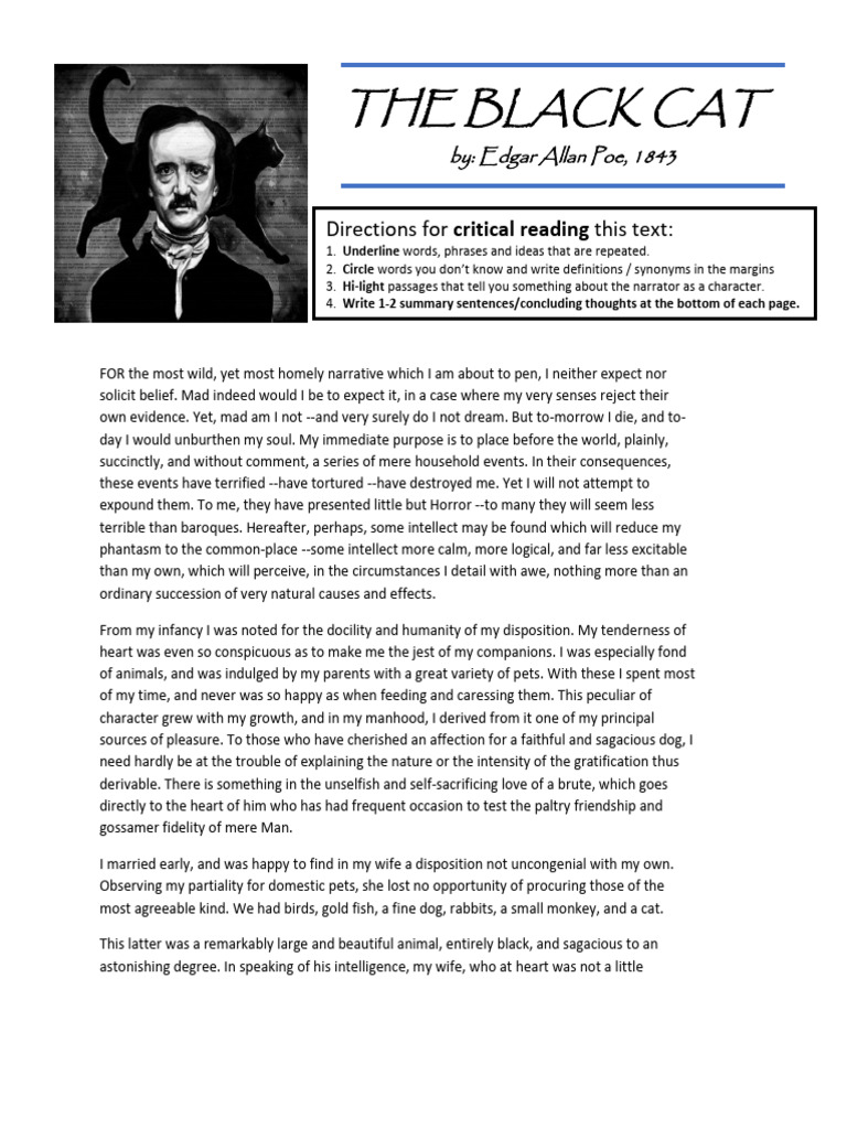 THE BLACK CAT_text-2 | PDF | Plaster