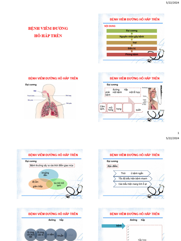 B Viem Duong Ho Hap Day | PDF