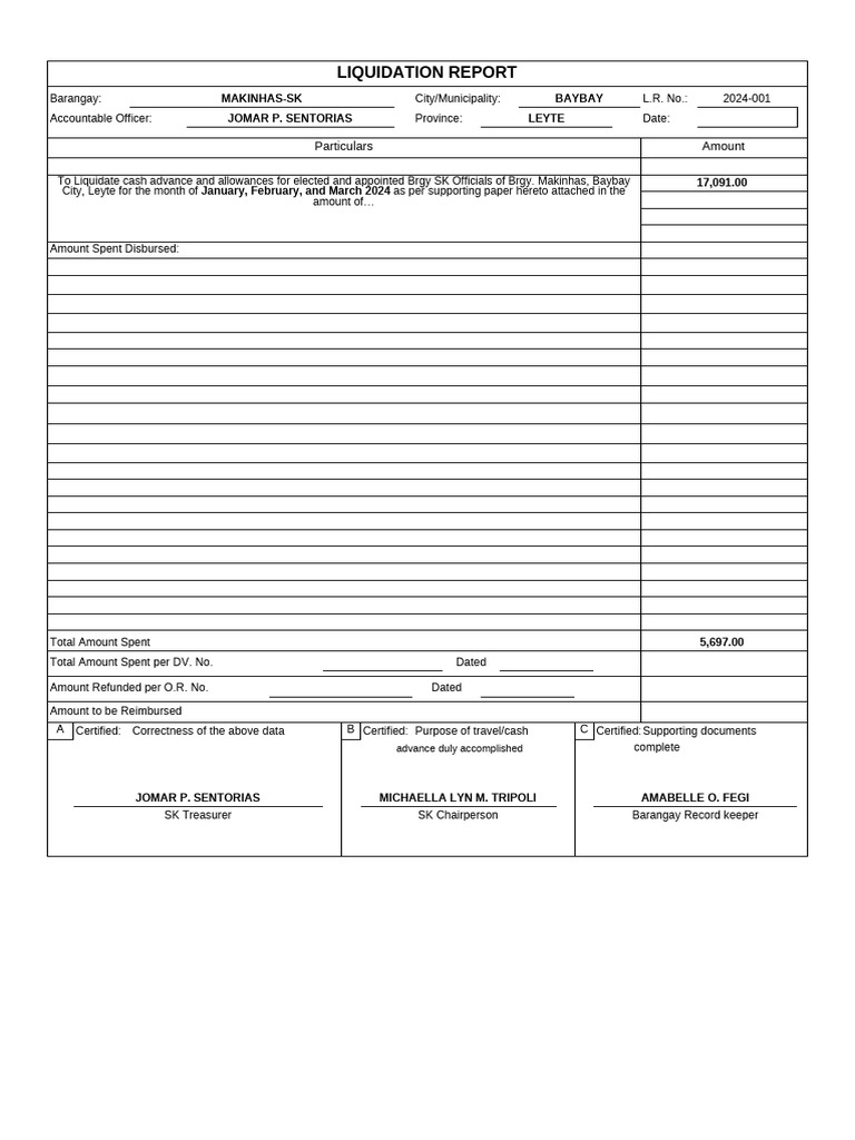 Liquidation Report | PDF