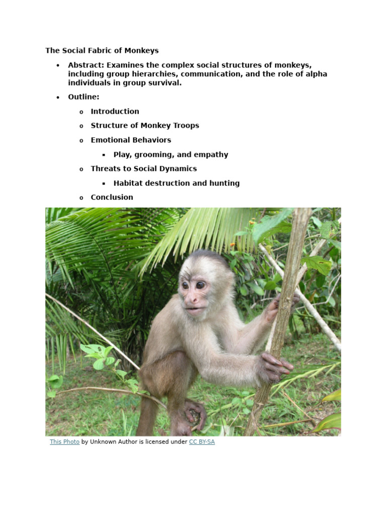 The Social Fabric of Monkey | PDF