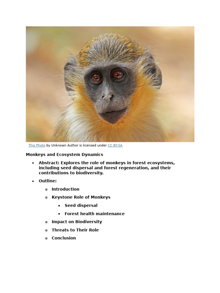 Monkey and Ecosystem Dynamics | PDF