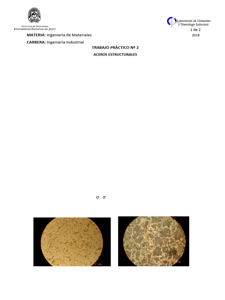 Guía TP2 aceros al carbono | PDF | Acero | Laboratorios