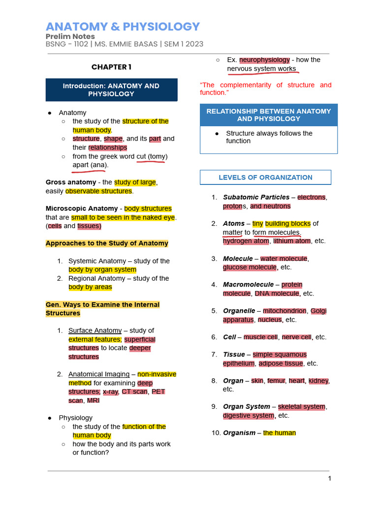 Anaphy Prelims | PDF | Epithelium | Mitosis