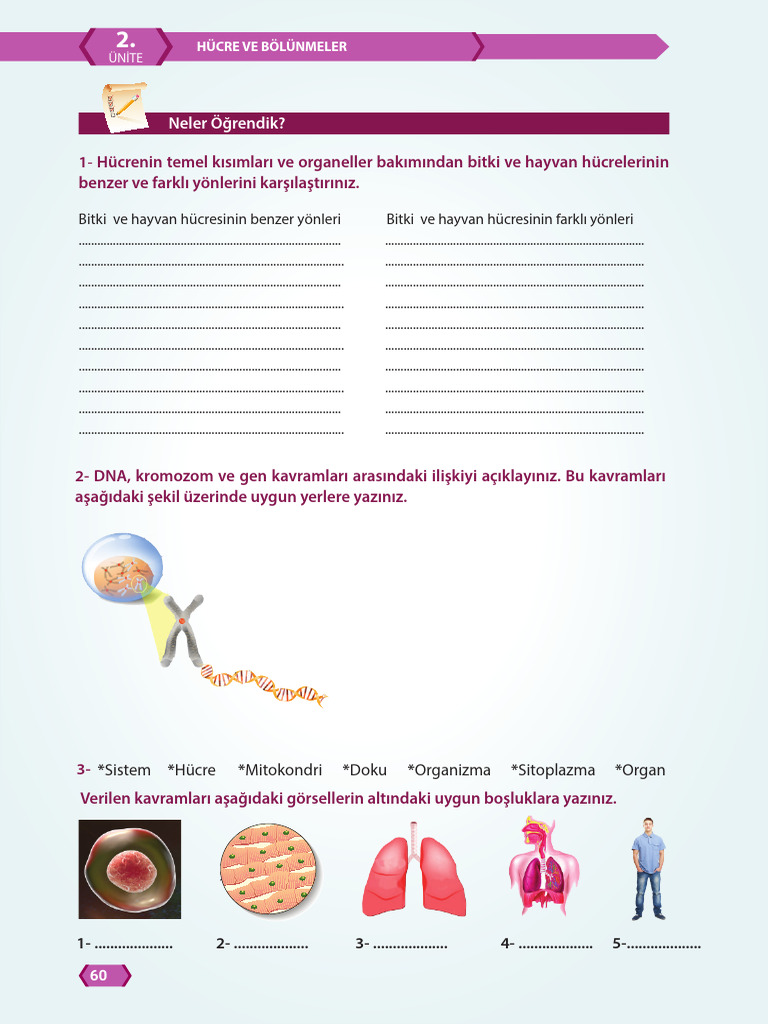 7snf Fen Bil 9 Hafta Ici Odev Meb Komisyon Kitabi Sayfa 60 65 72 1606306790 | PDF