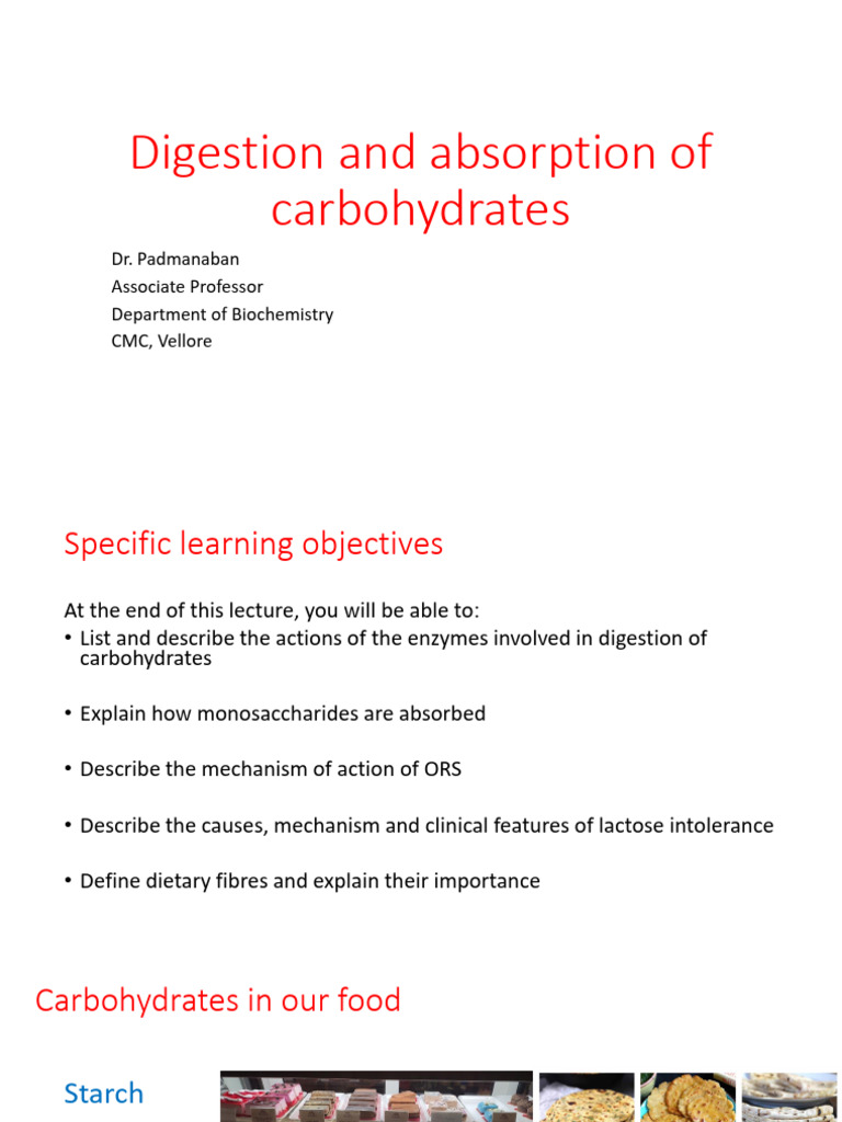 Digestion and Absorption of Carbohydrates PBBSC | PDF | Carbohydrates ...