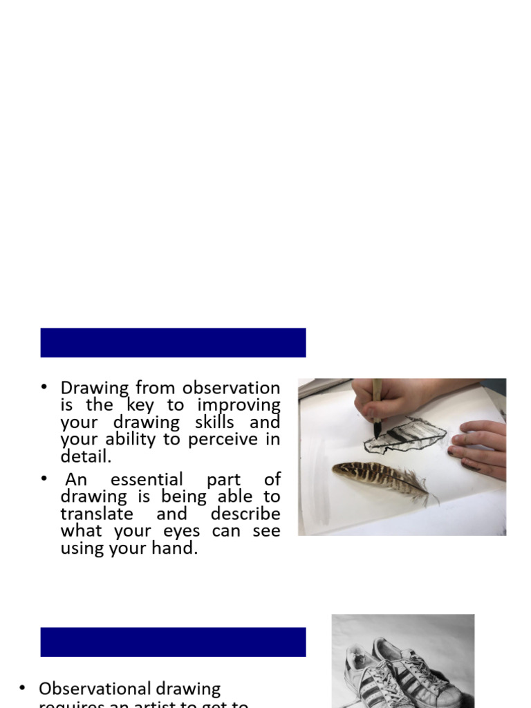Lesson1 Observation Drawing | PDF
