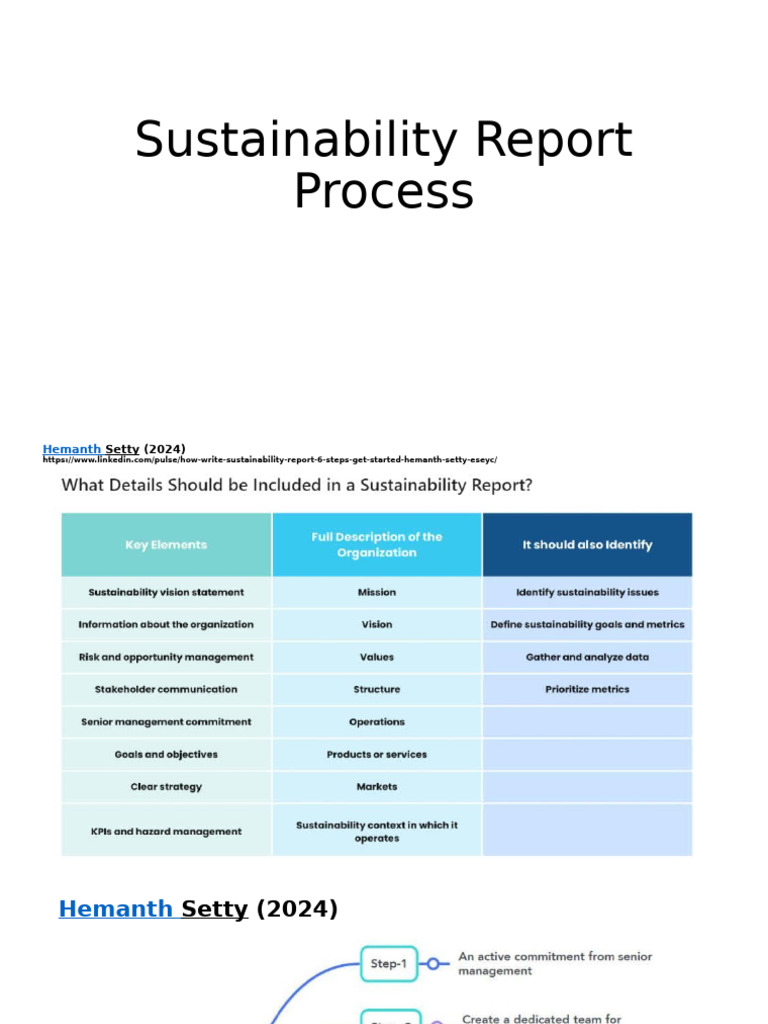 Sustainability Report Process | PDF