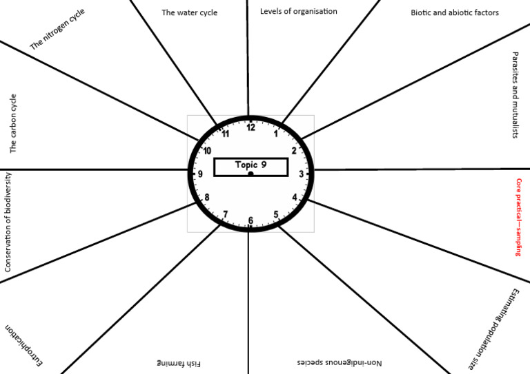 Revision Clock T9 | PDF