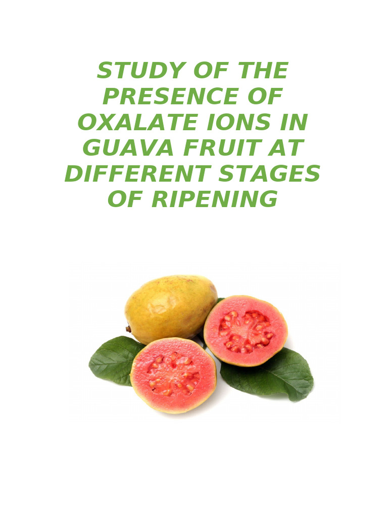Oxalate Ion Analysis in Guava Ripening | PDF | Titration | Chemistry