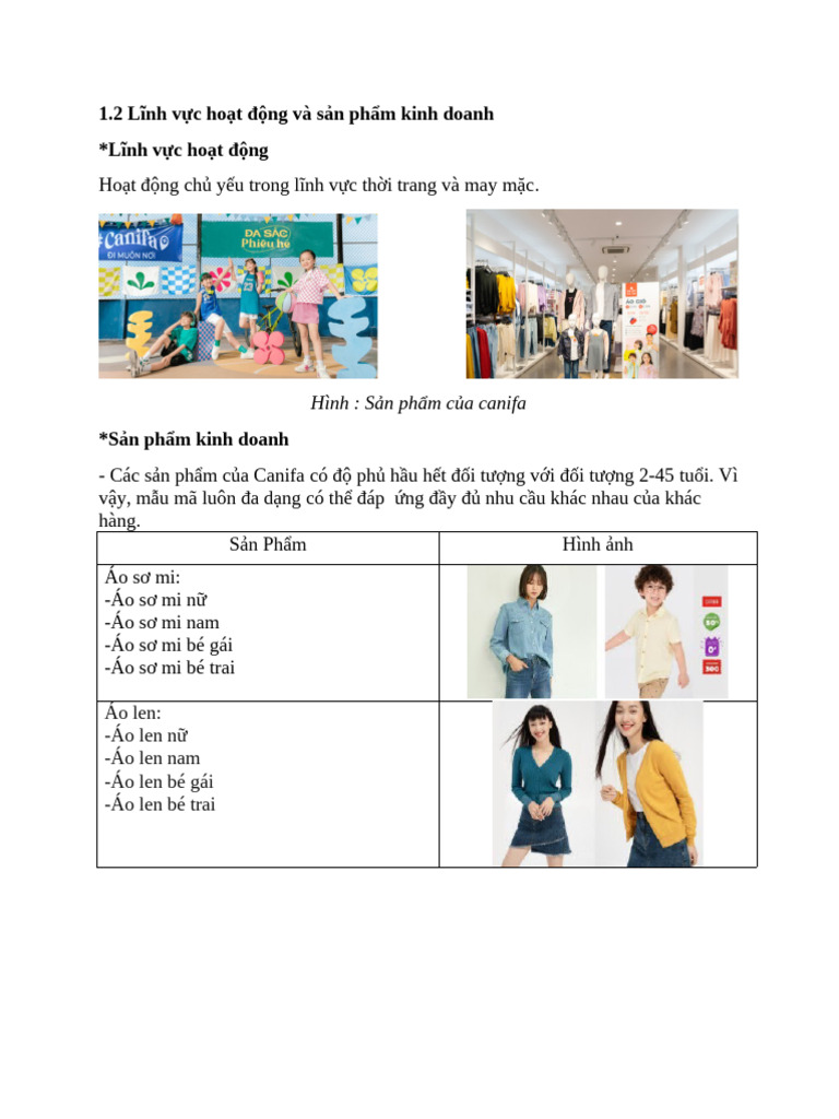 Linh Vuc Va San Pham | PDF