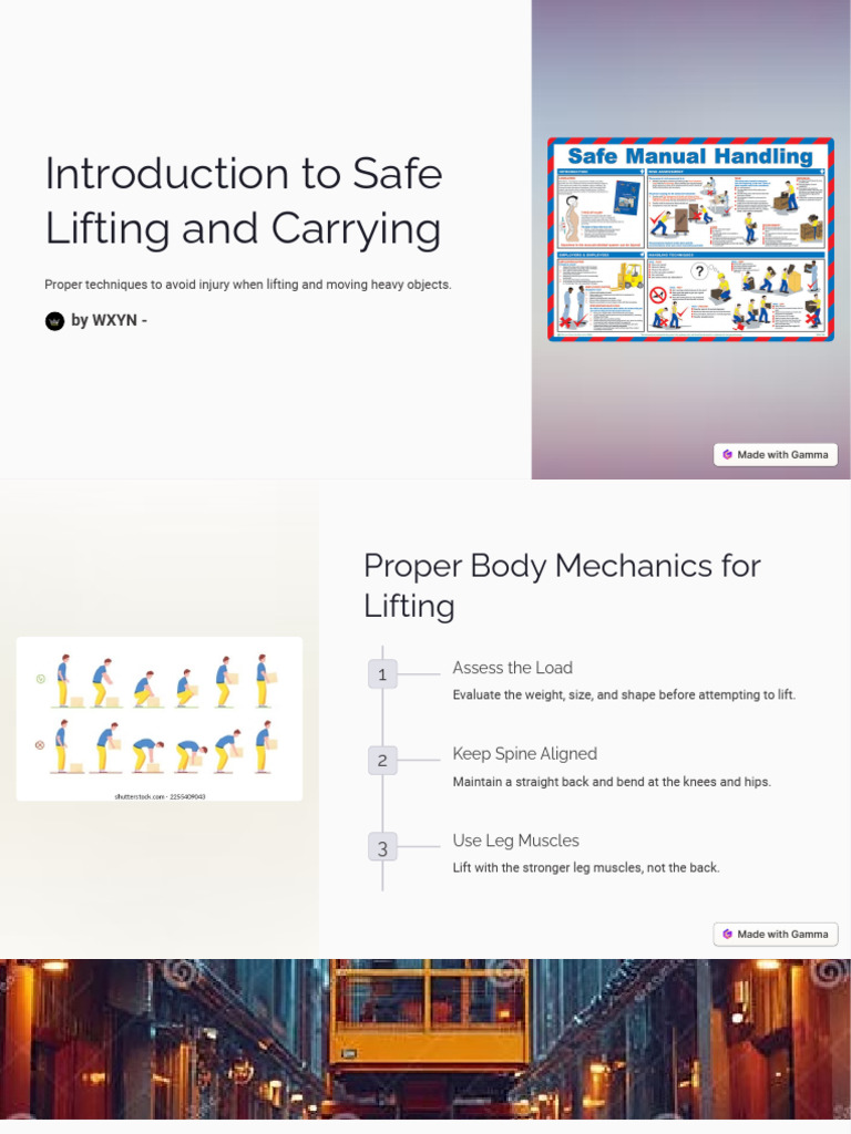 Introduction To Safe Lifting and Carrying | PDF