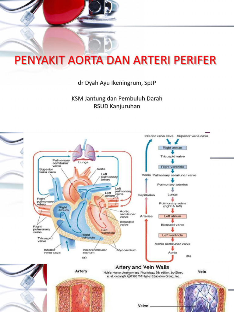 Aorta dan penyakit arteri perifer, FKUM | PDF | Ischemia | Clinical Medicine