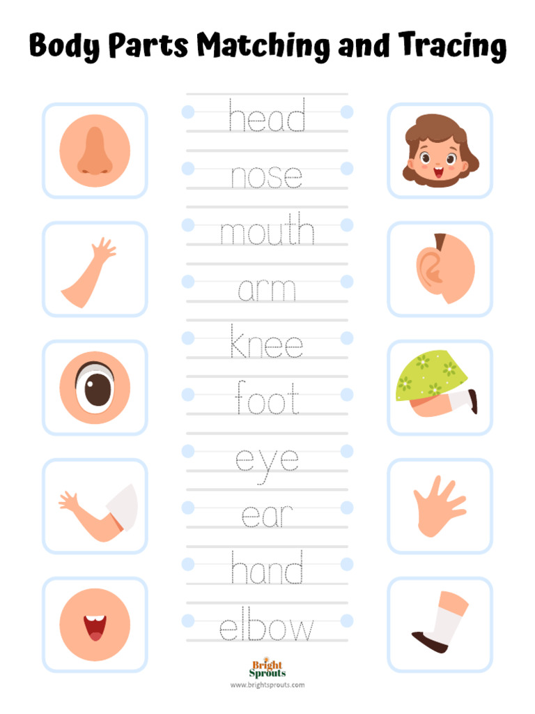 6-Body Parts Matching and Tracing | PDF