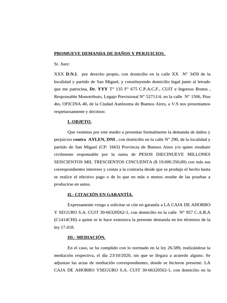 Demanda Modelo | PDF | Daños y perjuicios