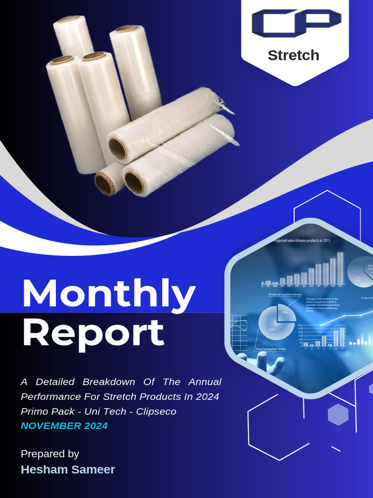 Dashboard Stretch - November 2024 | PDF