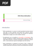 Recombination Models (Holliday Model) | PDF | Dna | Base Pair