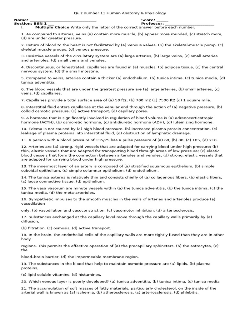 Quiz Number 11 Human Anatomy | PDF | Artery | Vein
