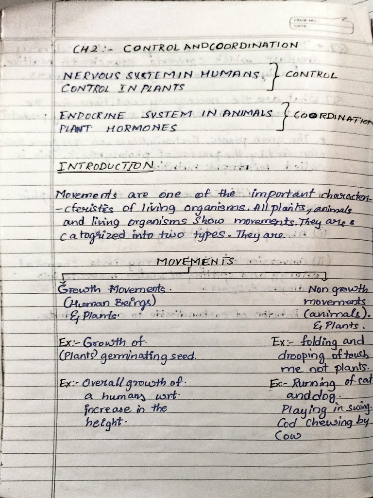 Control and Coordination Notes | PDF | Neuron | Dendrite