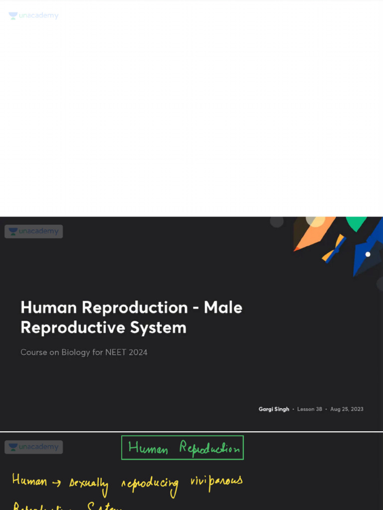 Human Reproduction Male Reproductive System With Anno | PDF