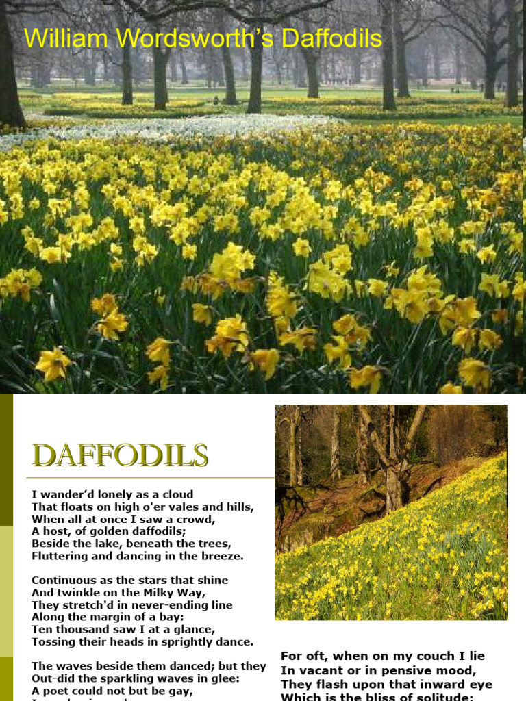3c Wordsworth’s Daffodils | PDF | Poetry