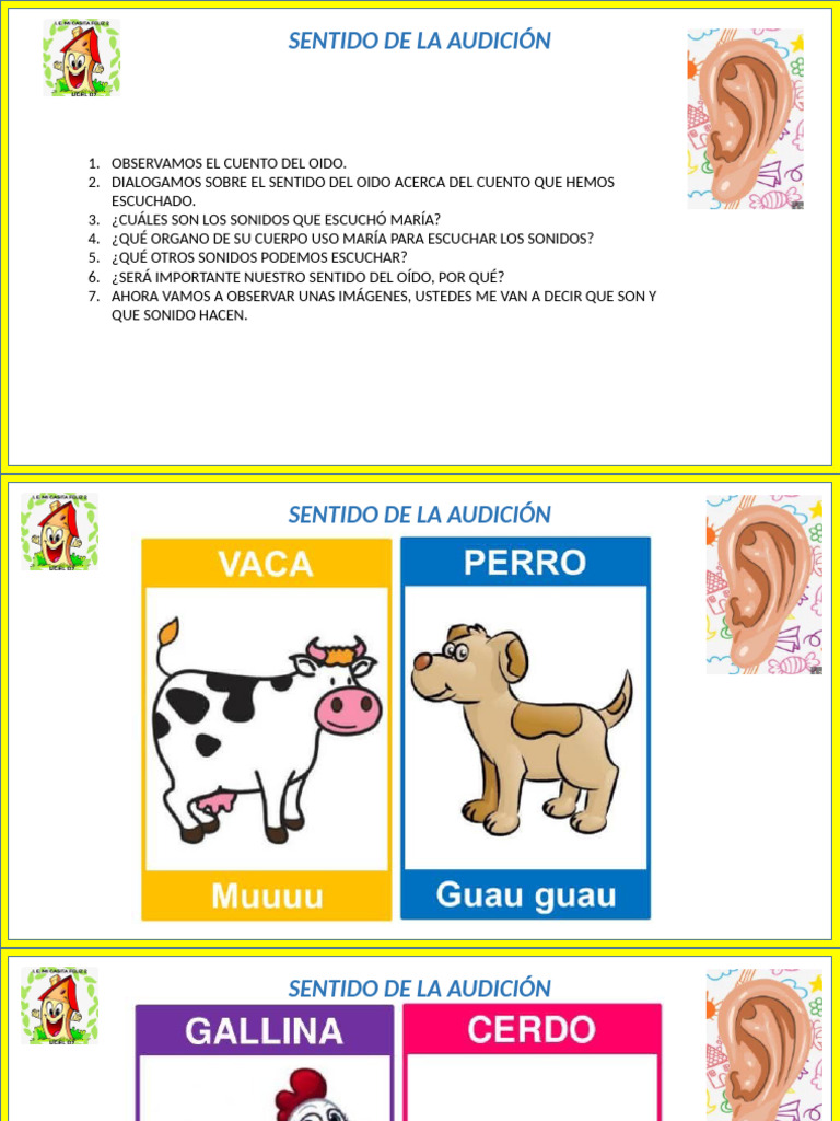 Sentido de La Audición | PDF