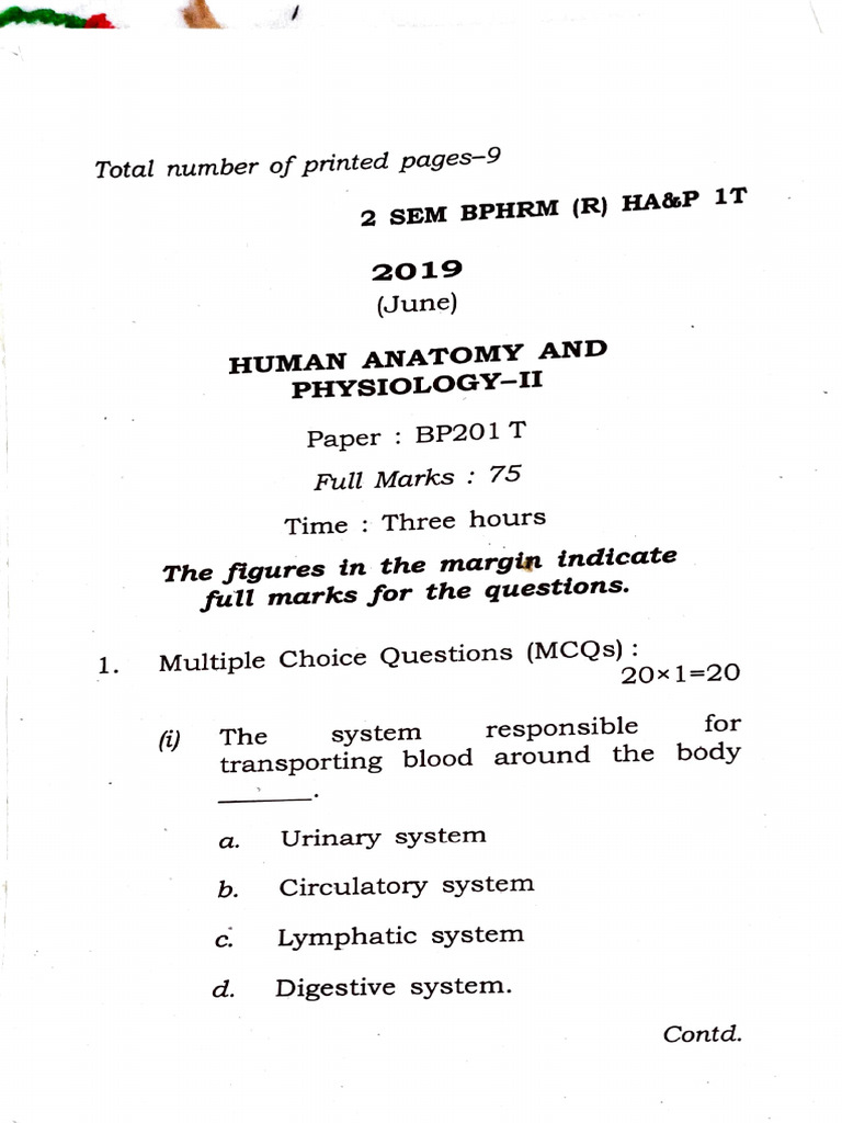HAP 2019 2nd sem | PDF | Blood | Lung