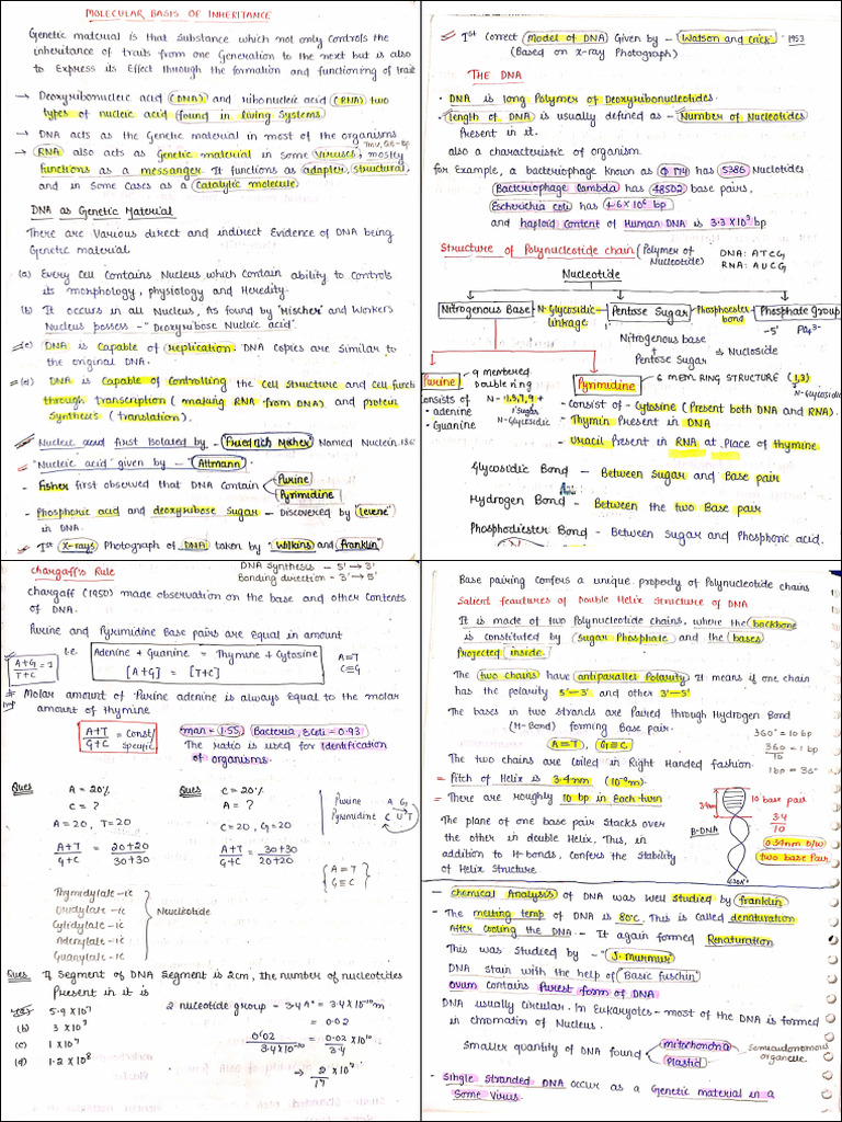 Molecular Basis of Inheritance | PDF