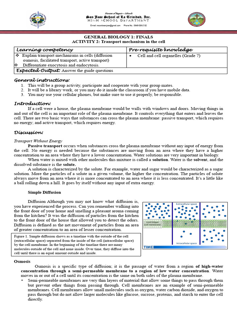 Transport-mechanism | PDF | Cell Membrane | Vesicle (Biology And Chemistry)