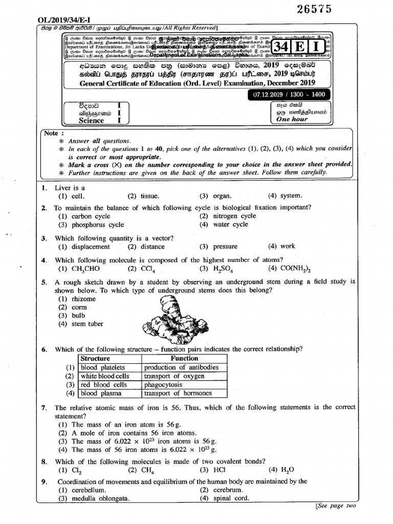 2019 OL Science Past Paper English Medium | PDF | Qualifications | Sri ...