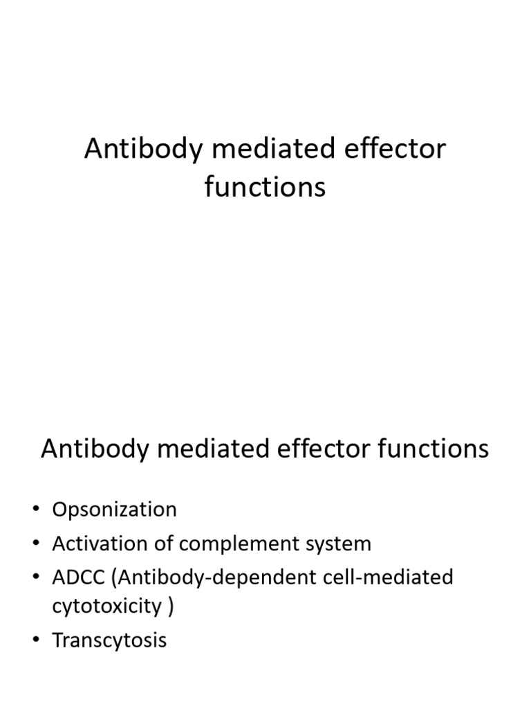 Antibody Classes and Effector Functions | PDF | Antibody | Complement ...