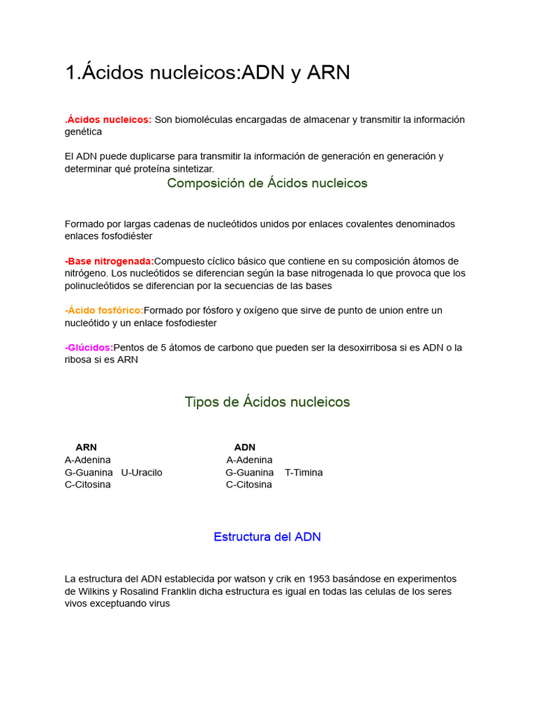 Documento Sin Título-13 | PDF | Adn | Codigo genetico
