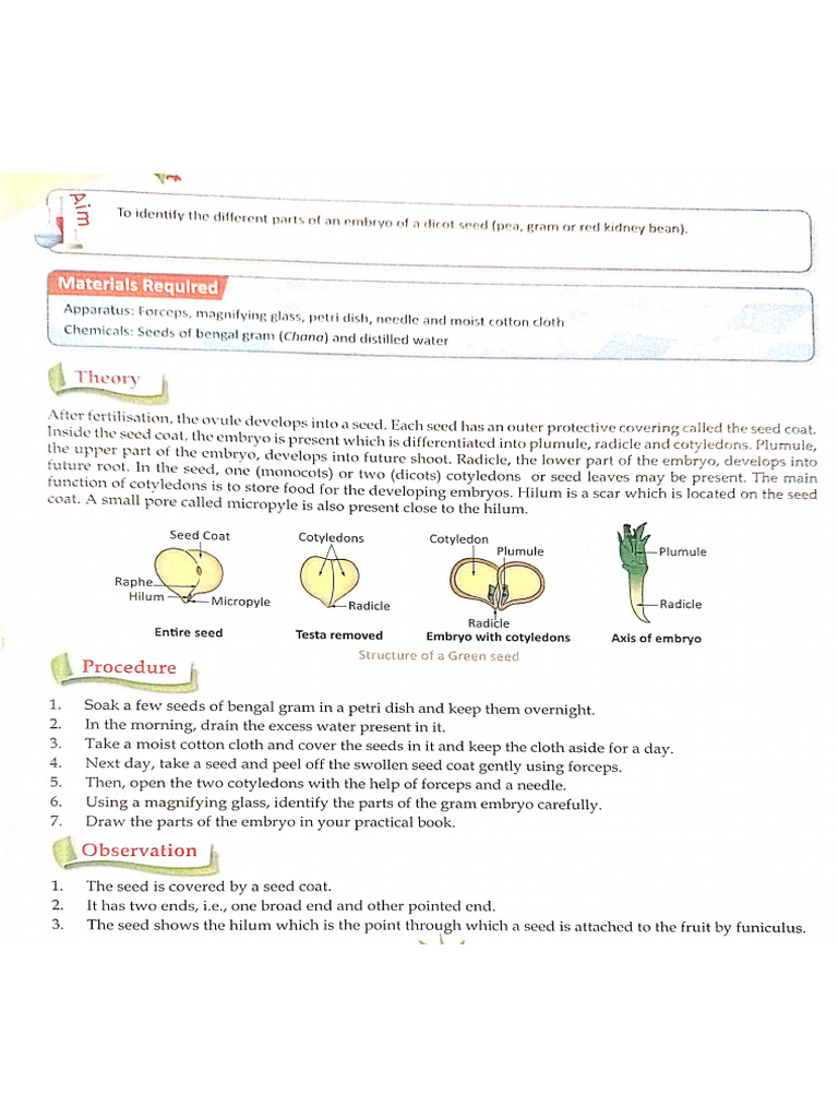 Biology Practical | PDF