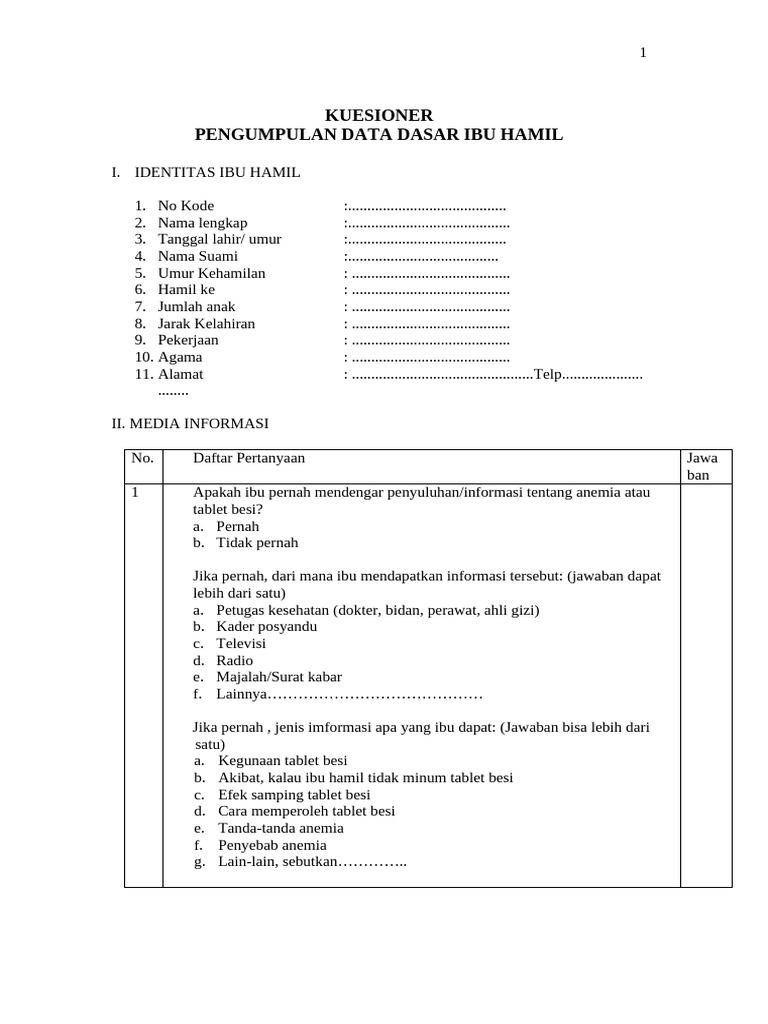 Kuesioner Ibu Bumil | PDF