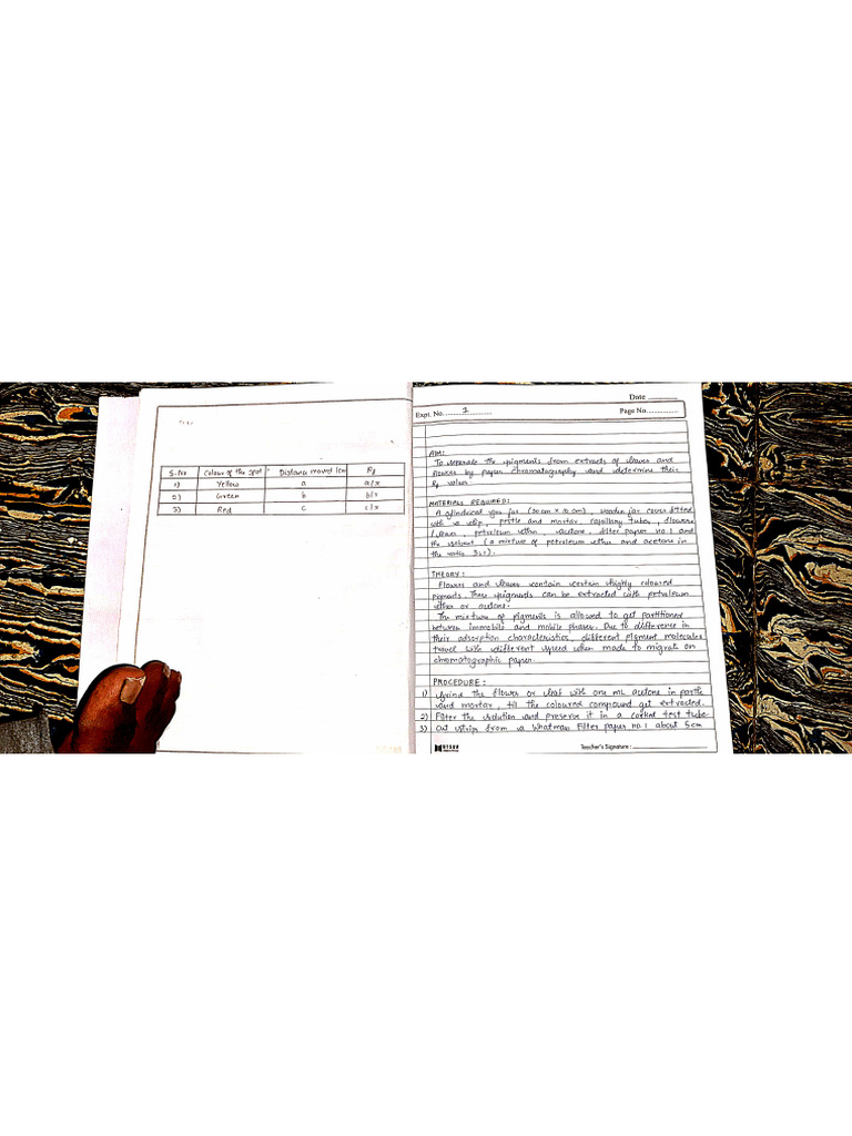 Class 12 Che Record Work | PDF