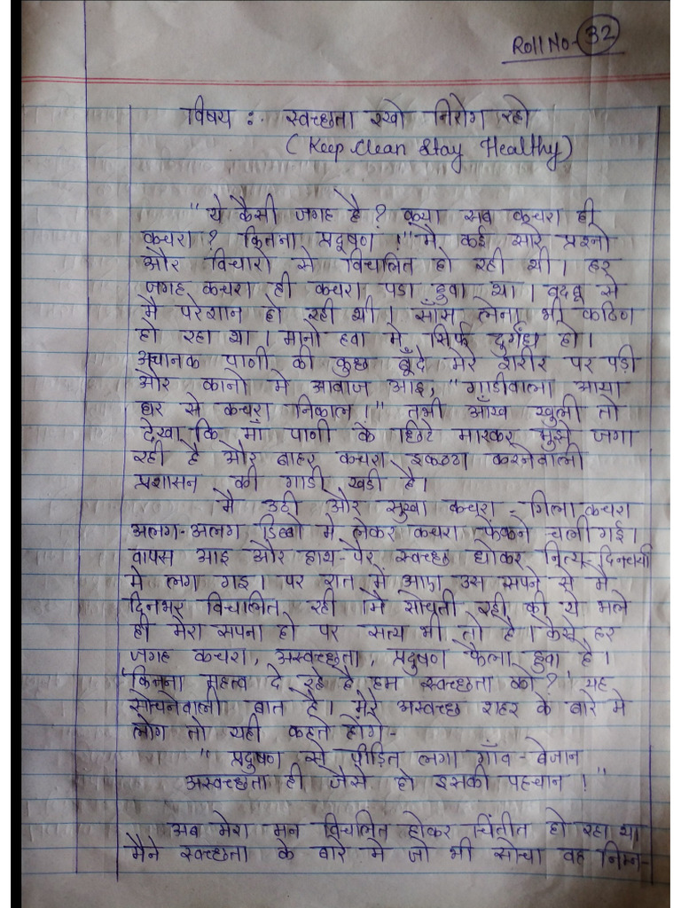 Essay (Keep Clean Stay Healthy) | PDF