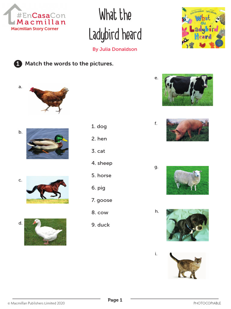 Farm Animal Activities for Kids | PDF | Mammals | Animals And Humans
