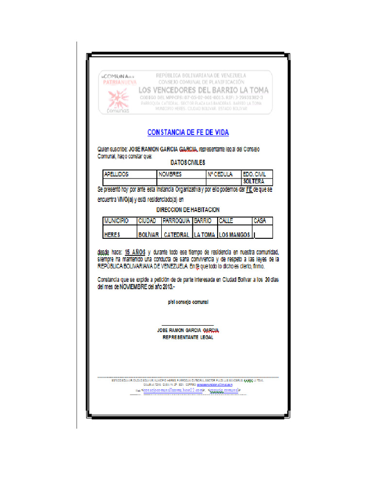 Consejo Comunal | PDF