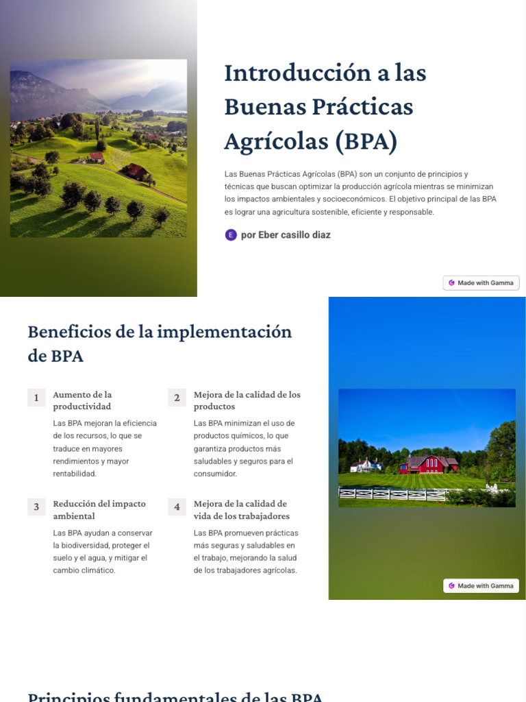 Introduccion-a-las-Buenas-Practicas-Agricolas-BPA | PDF | Agricultura | Riego