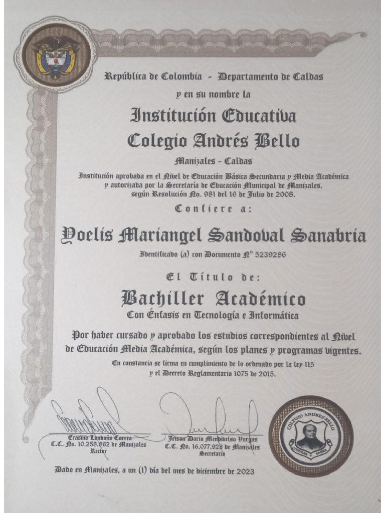 Diploma de Grado | PDF