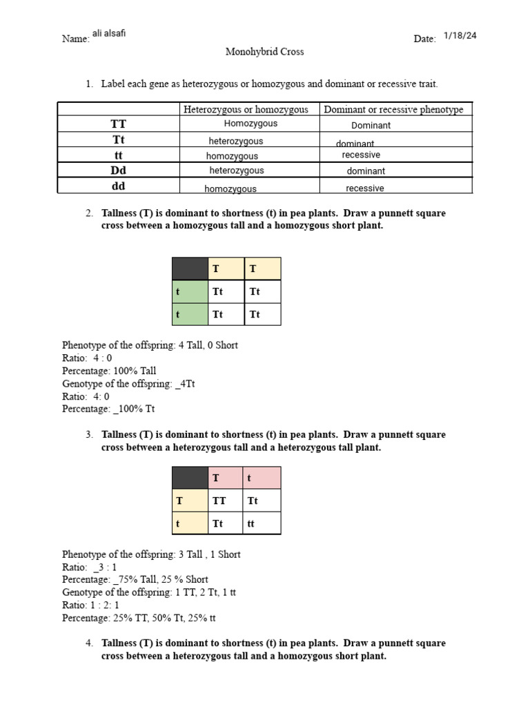 TT TT TT DD DD: Ali Alsafi | PDF | Dominance (Genetics) | Genotype
