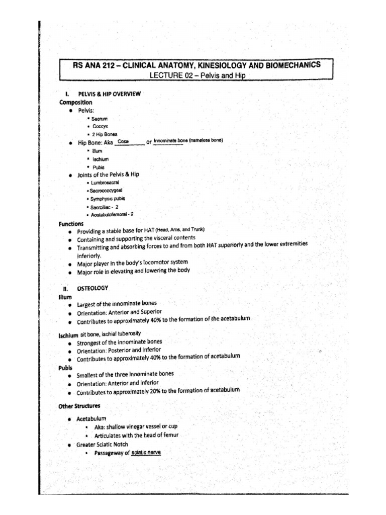RS Ana 212 - Clinical Anatomy, Kinesiology and Biomechanics | PDF
