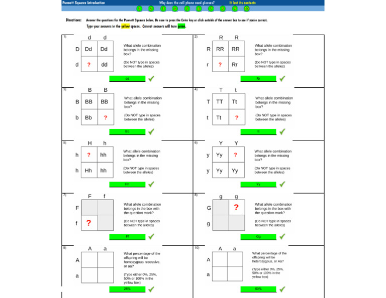 Punnett Squares Practice Guide | PDF