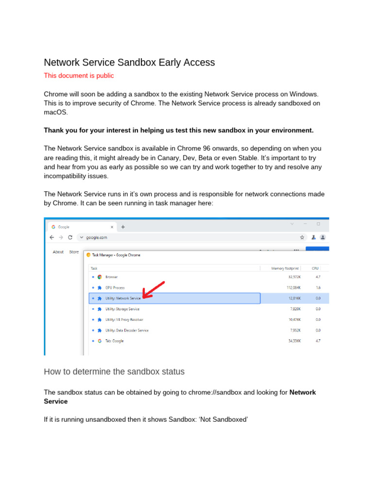 Network Service Sandbox Early Access | PDF | Windows Registry | Computer Engineering
