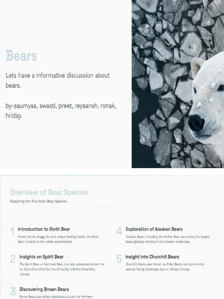 Bears Powerpoint | PDF