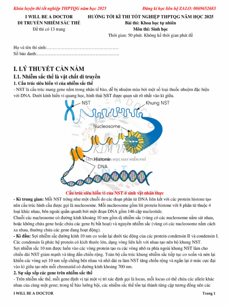 Buoi 15 Toan Tap Ly Thuyet NST | PDF