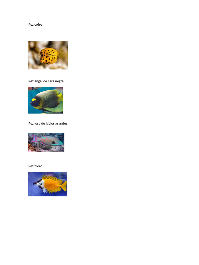 Peces Del Perú | PDF